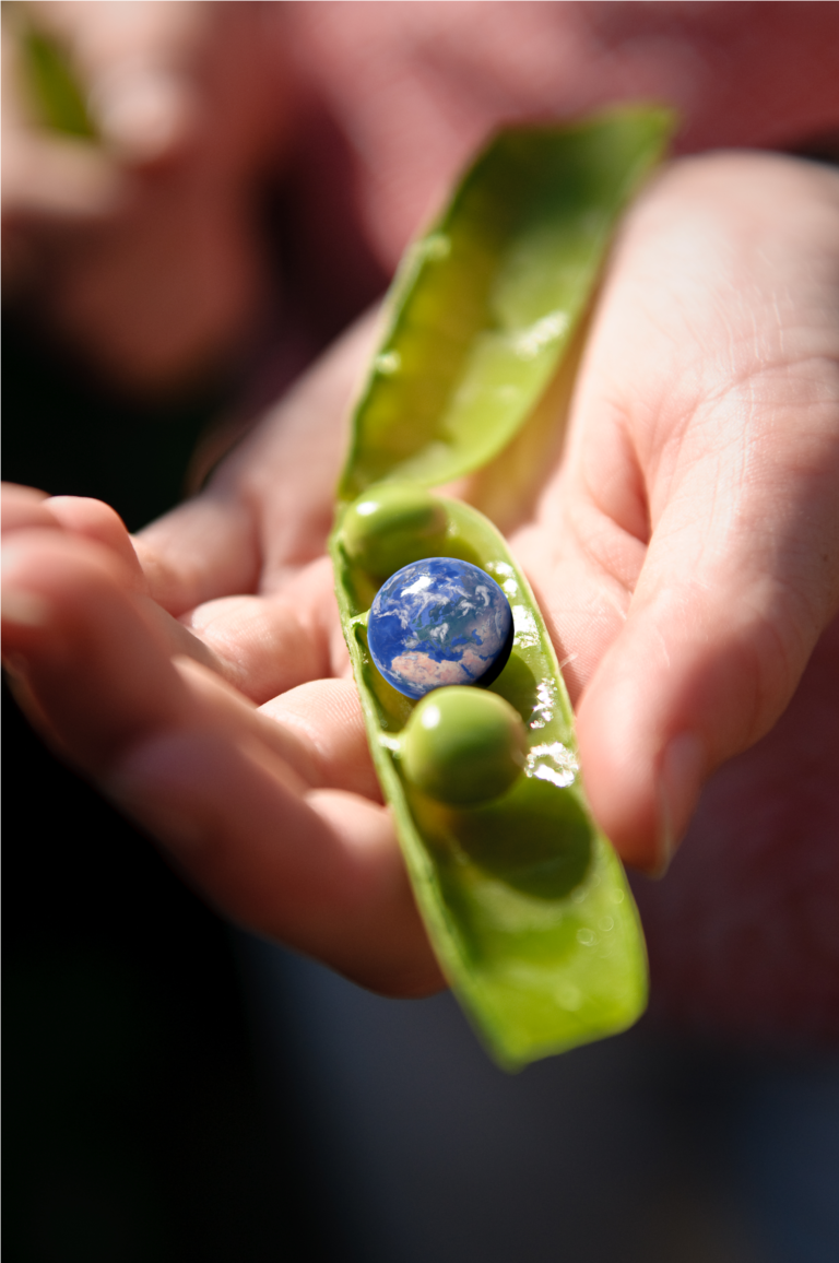 Papuja pallon parhaaksi – yleisöluentosarja syksyllä 2021 - Leg4Life