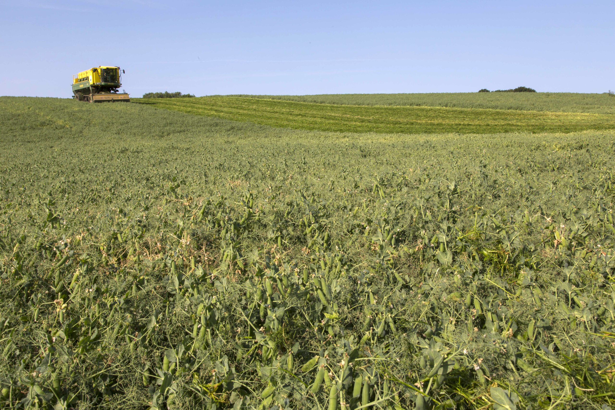 Palkokasveista turvaa ja kestävyyttä Suomen ruokajärjestelmään - Leg4Life